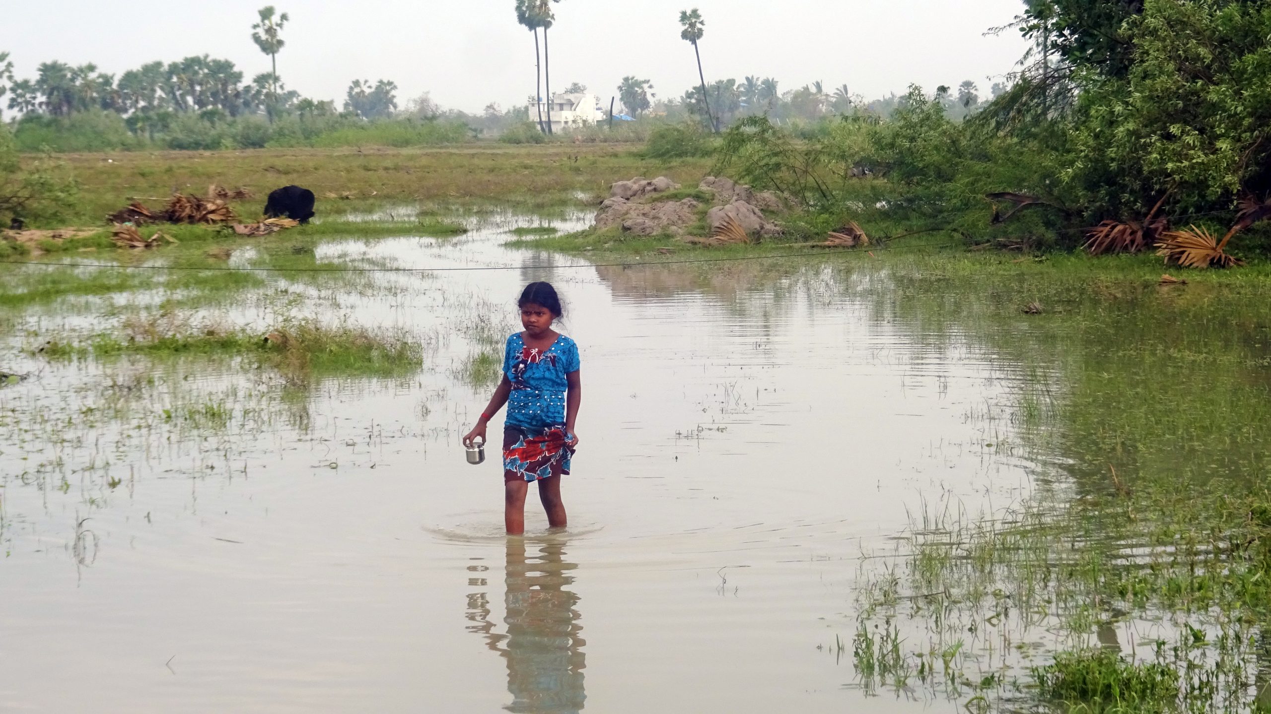 ADRA India | Where We Work